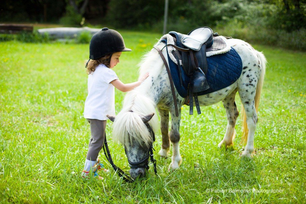 Les poneys sont arrivés! - A Cheval En Promenade